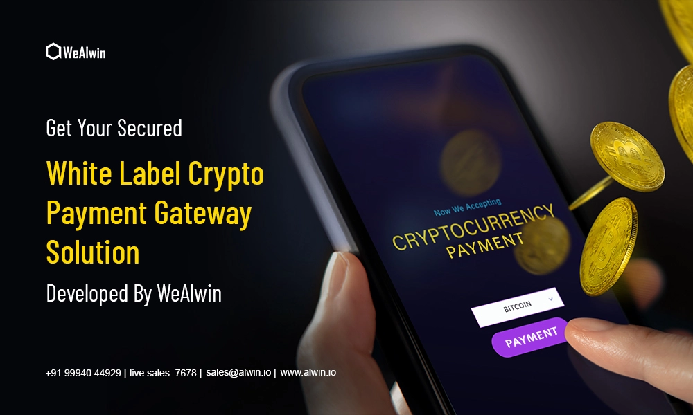 White Label Payment Gateway for Startups White Label Payment Gateway for Startups